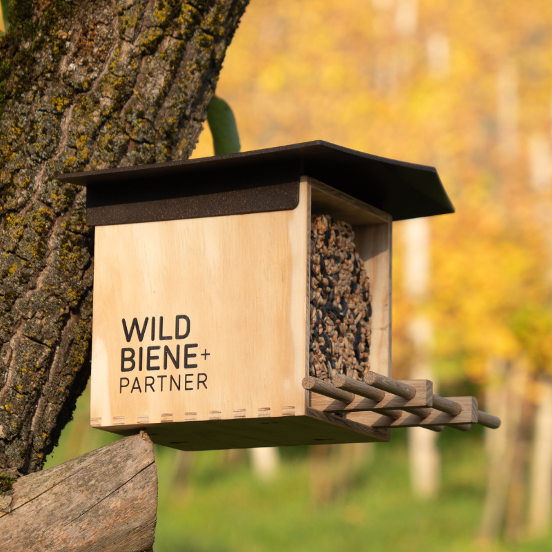 Wildbiene + Partner – Wildbiene + Partner (Pollinature GmbH)